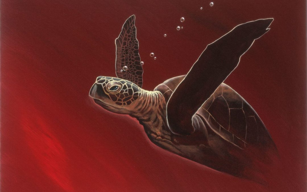 Big Red Sea Turtle - Vacation on Canvas